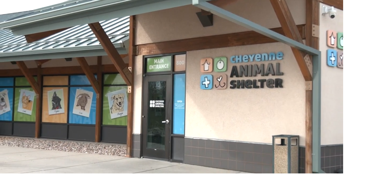Cheyenne Animal Shelter offers donation match for Giving Tuesday ...