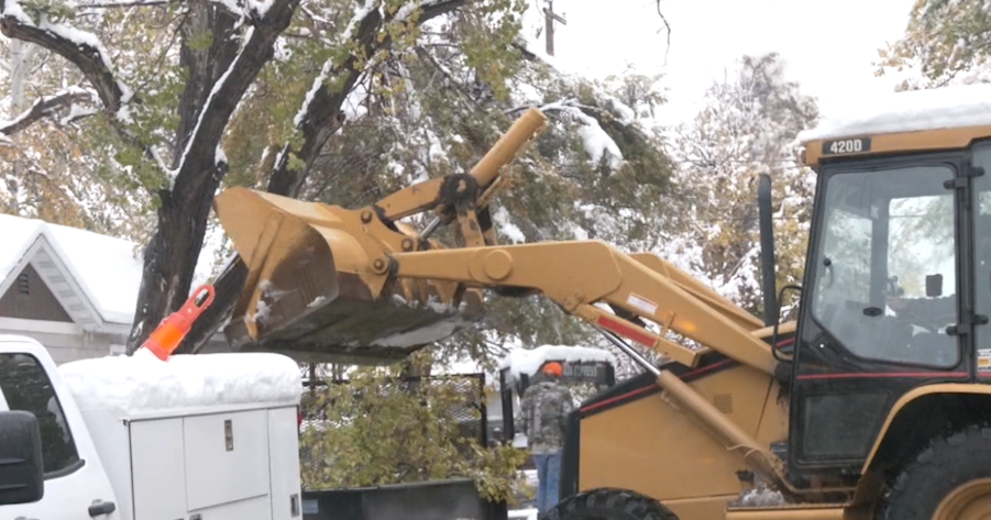Shake, Shake, Shake It Off: Casper Wants You to Shake the Snow From ...