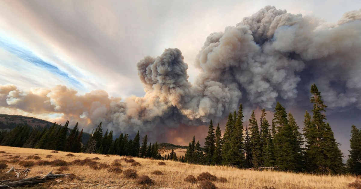 Wyoming Wildfires Grow Elk Fire At 25000 Acres Highway 14 Closed Homepage
