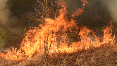 Fire Near Oregon Trail Continues Burning, 50% Contained After 1,540 ...