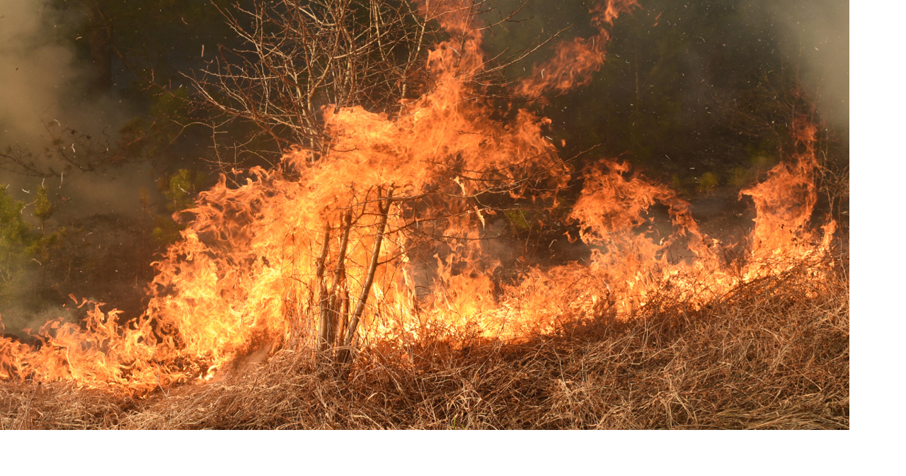Fire Near Oregon Trail Continues Burning, 50% Contained After 1,540 ...