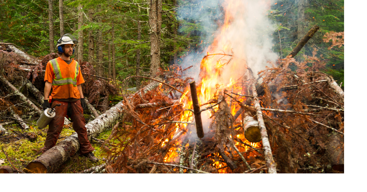 Prescribed burn planned in Bighorn National Forest for hazardous fuel ...
