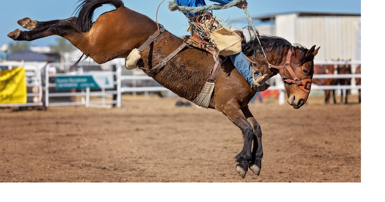 Frozen Fury on the Plains: Top bucking horses and saddle bronc riders ...