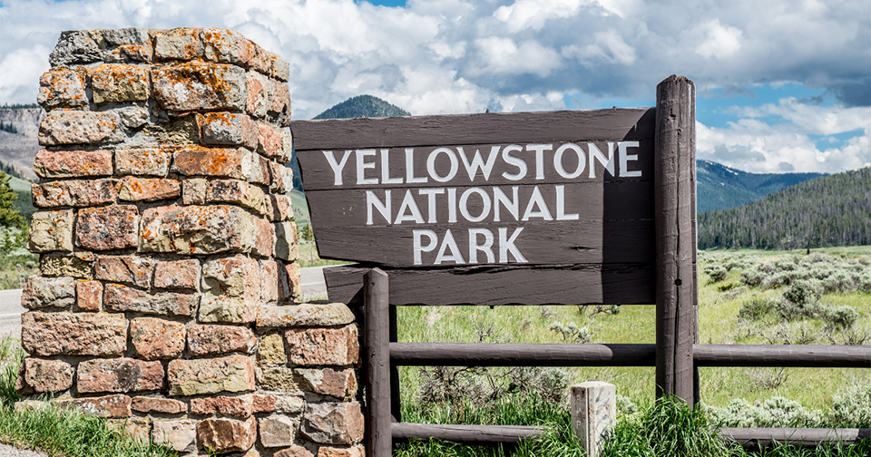 Shooting Incident in Yellowstone Park Leaves Suspect Dead, Ranger ...