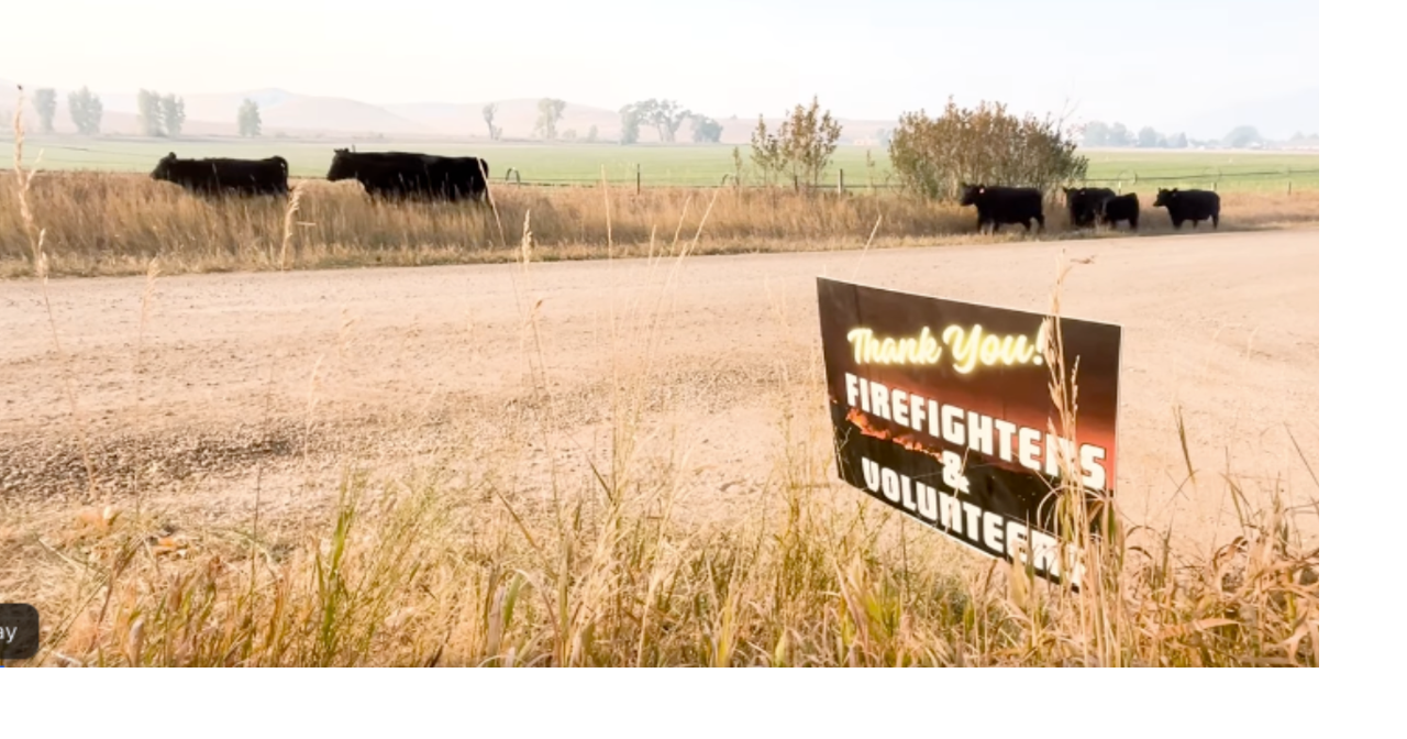 Cattle Drive Passes Fire Camp as Crews Battle Elk Fire in Wyoming ...