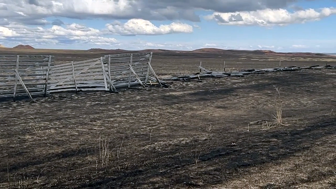 Wyoming unveils wildfire recovery guide to assist impacted residents ...